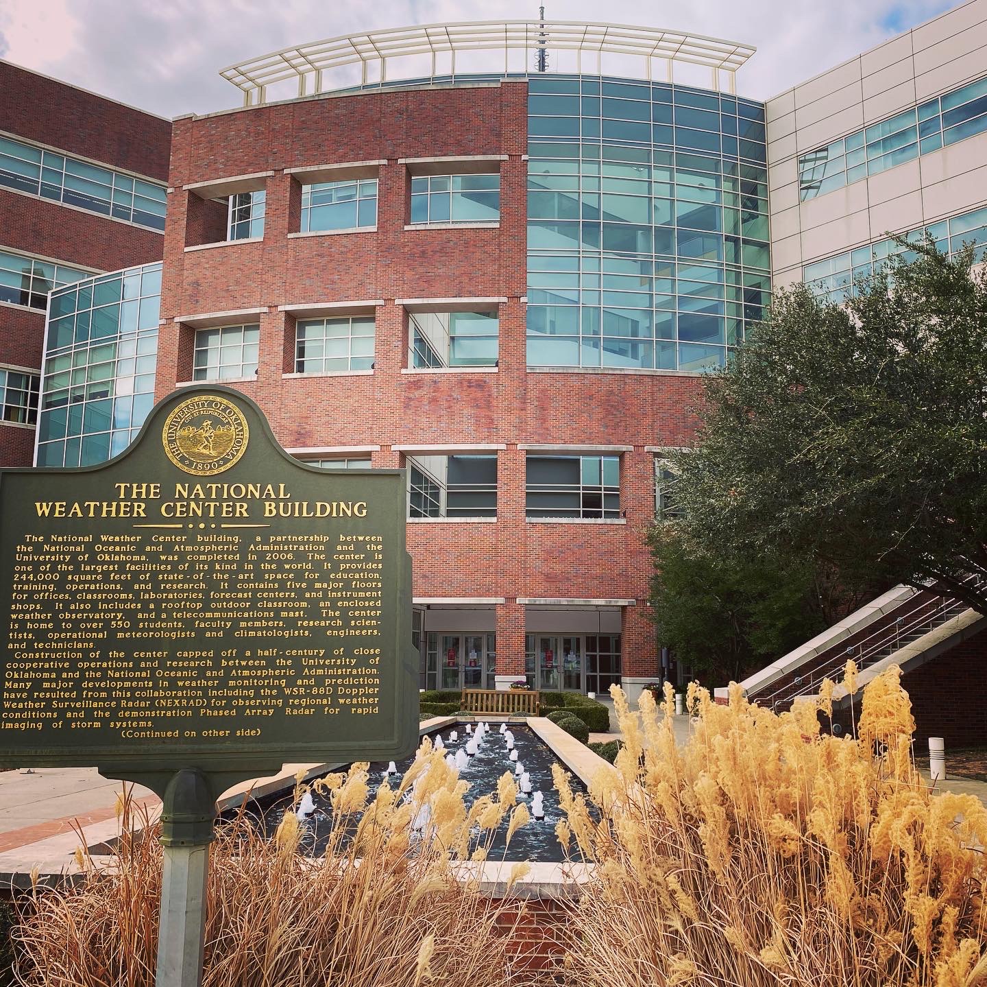 Miles with Bella – Mellace Writes